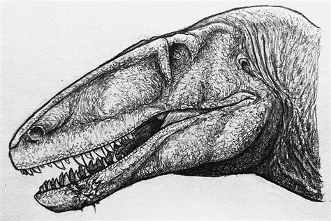 Leshansaurus By Everett1107 On Deviantart Leshansaurus By Everett1107 On Deviantart