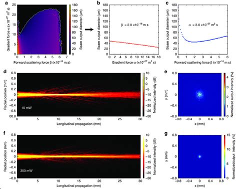 simulations of the optical force induced nonlinear beam dynamics in