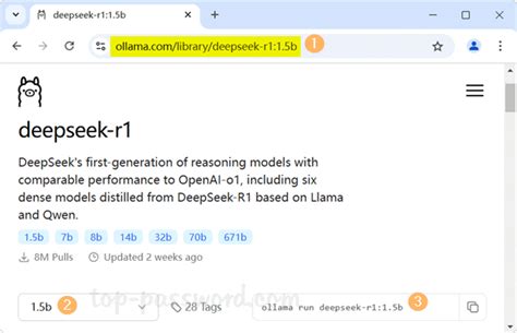 Run Deepseek Locally Password Recovery