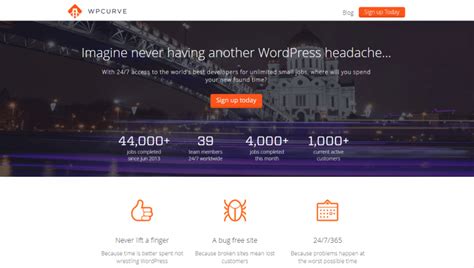 17 Best Wordpress Support Services In 2020