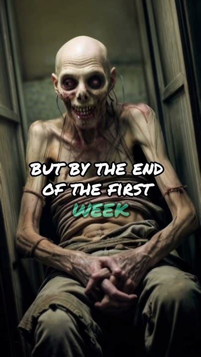 Have You Heaed Of This Explained The Russian Youtube