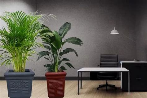 Plastic Planter Rotomoduler Planter Pot Manufacturer From Ahmedabad