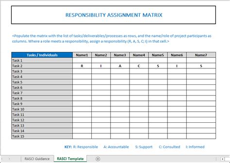 RAID Management Pack Project Management Templates Risk Management Templates