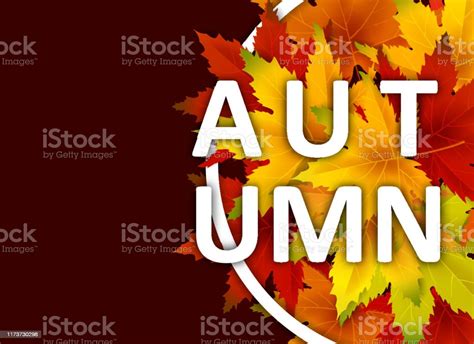 가을 배경 템플릿 나뭇잎의 떨어지는 무리 쇼핑 판매 또는 쇼핑 할인 프로모션 엽서 및 초대 카드에 대한 계절 포스터 벡터 일러스트 바우처 배너 전단지 프로모션 포스터 10