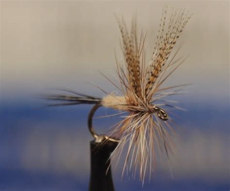 Video How To Tie A Catskills Style March Brown Dry Fly Orvis News