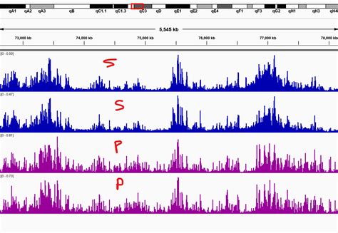 intribuing behavior of plotcorrelation with mixture of single end and