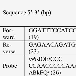 Sequence Of The Designed Primers Download Scientific Diagram