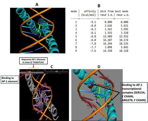 Gudf Tripeptide Glu Glu Arg Shows A Strong Binding To Ap 1 Consensus