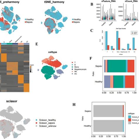 Cellular Function Analysis A Cellular Effector Pathway Activity B Download Scientific Diagram