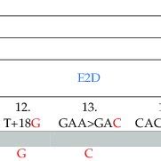 Table Showing Novel LMP 1 Pattern A Like Sub Variations Discovered In Download Table