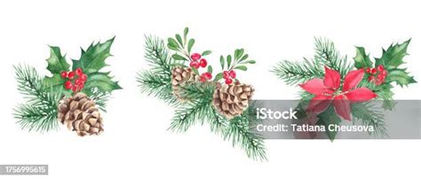크리스마스 꽃다발 세트입니다 솔방울과 가지 빨간 열매 포인세티아 카우베리 링곤베리가 있는 홀리 식물 새해와 크리스마스의 상징 수채화 손으로 그린 그림은 흰색 배경에 고립되어