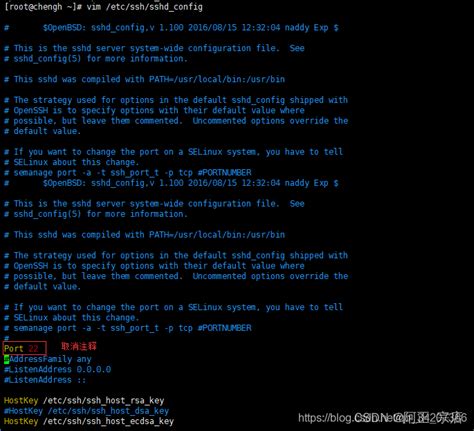 CentOS 开启ssh服务 CSDN博客