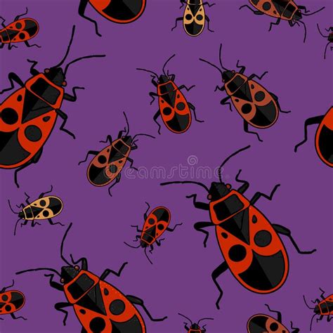 Soldier Bugs Stock Illustrations 76 Soldier Bugs Stock Illustrations