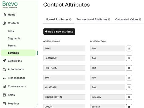 How To Set Up Dynamic Email 5 Great Examples