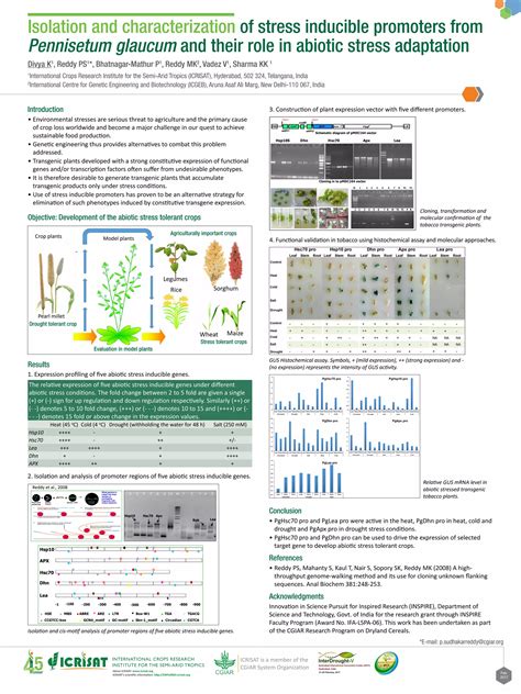 Isolation And Characterization Of Stress Inducible Promoters From