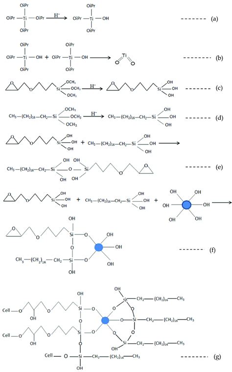 Various Reactions Expected During The Process A Hydrolysis Of Download Scientific Diagram