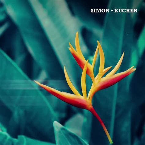 Ignacio Vasallo Cañas Auf Linkedin Banking Sustainablebanking