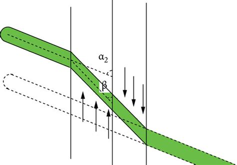Schematic Diagram Of Root Stress And Deformation A Vertical Root Download Scientific Diagram