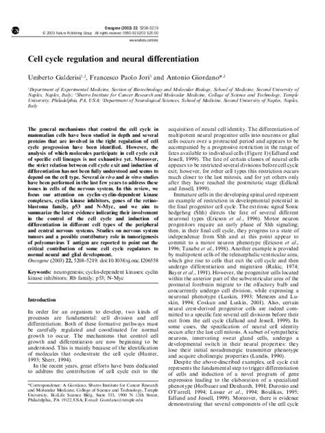 Pdf Cell Cycle Regulation And Neural Differentiation