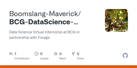 github boomslang maverick bcg datascience virtual internship data