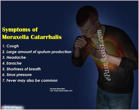 Moraxella Catarrhaliscausessymptomstreatmentepidemiologyprognosis