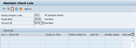 create check lots in sap define number ranges for checks