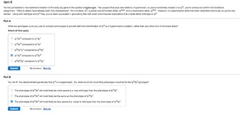 Solved Item 6 Youve Just Isolated A New Dominant Mutation Of