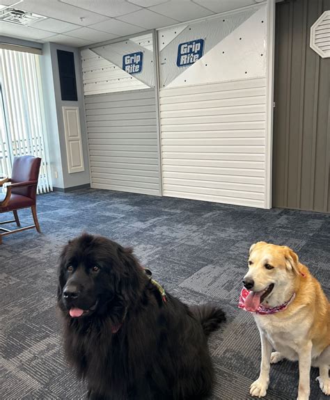 Heather Debolt Posted On Linkedin