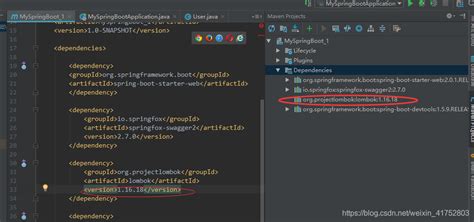 Idea右侧maven报错有红色波浪线orgprojectlombok 波浪线 Csdn博客