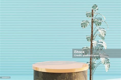 자연 연단 3d 렌더링 전시회 제품 발표 휴식 및 건강을 위한 모형 0명에 대한 스톡 사진 및 기타 이미지 0명 3차원 형태 강단 Istock