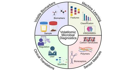 Cell Biomaterials On Amr Diagnostics Human Centered Sensing
