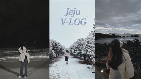 대학생 Vlog 겨울 제주 브이로그🍊 2박 3일 힐링 여행 뚜벅이가 겨울에 돌아다니면 생기는 일 Youtube