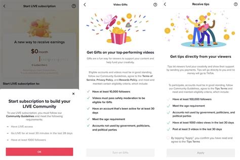 TikTok Series Monetization: Way to Turn Hobby into Income