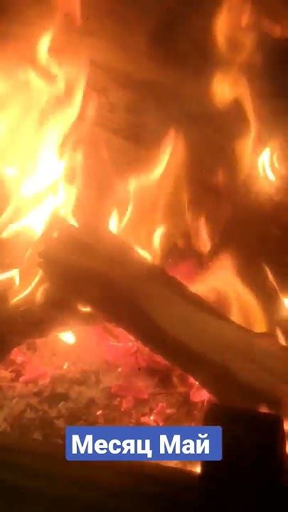 Песня шамана Youtube