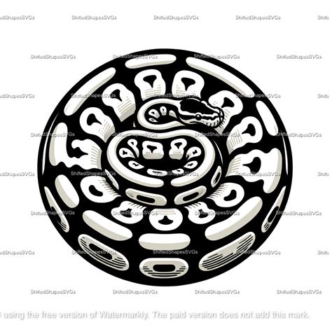 Ball Python Svg Bundle Etsy