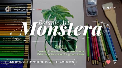 수채 색연필 몬스테라 그리기 라이브 Youtube