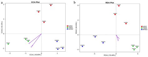 Frontiers Metagenomics Reveals Microbial Diversity And
