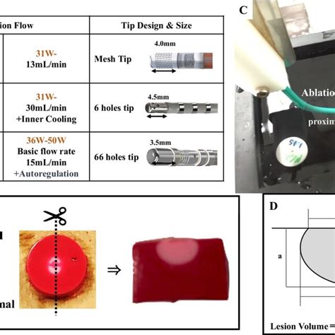 The Surface Lesion Characteristics For Each Ablation Setting With The