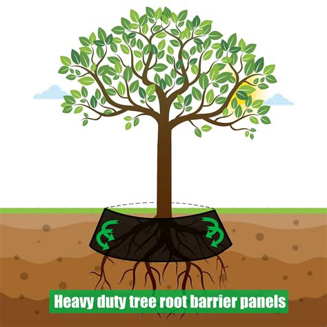 Tree Root Barrier 18in X 15ft X 60mil Root Barrier Grass Weed Barrier Bamboo