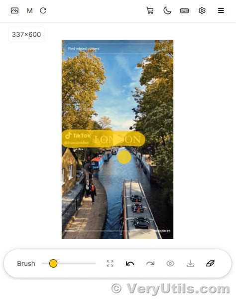The Best Free Tool To Remove The Tiktok Watermark From Your Tiktok Photos With Veryutils Free