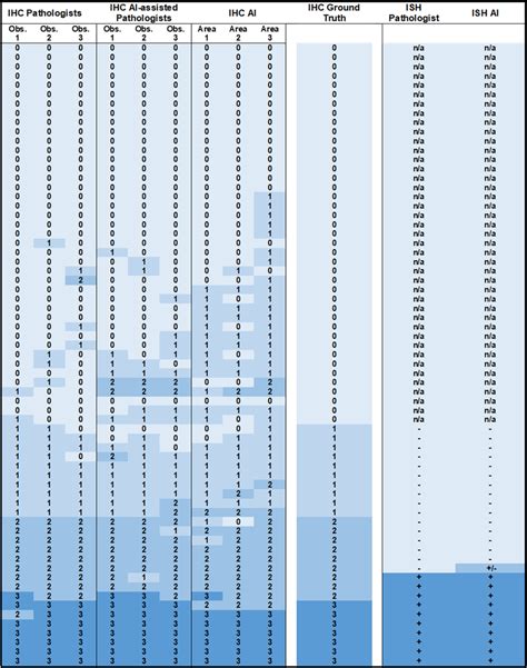 Heatmap Representation Of Her2 Scoring For Primary B5b Invasive Breast Download Scientific