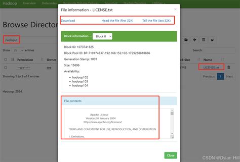 Hadoop集群完全分布式配置与启动hadoop集群启动 Csdn博客