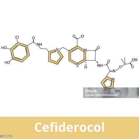Cefiderocol Stock Illustration Download Image Now Urinary Tract