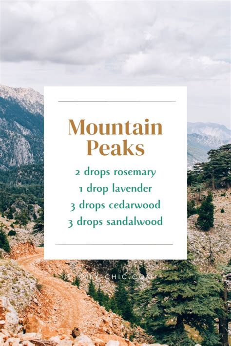 Cedarwood Essential Oil Blends For Diffuser Recipes And More