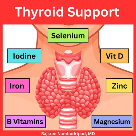 Tips For A Healthy Thyroid • Oc Integrative Medicine