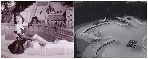 The Spiderpool She Blogged By Night