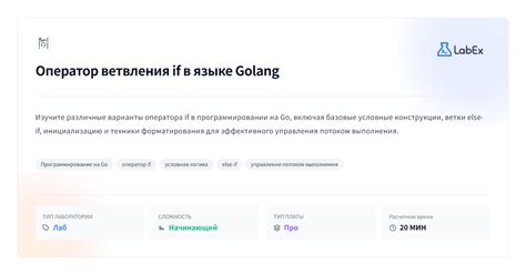 Оператор ветвления If в языке Golang Labex