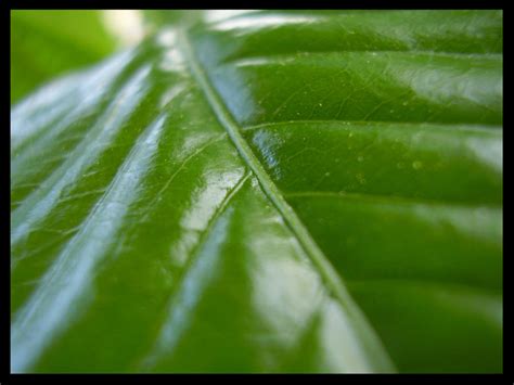 New By Cloconut On Deviantart