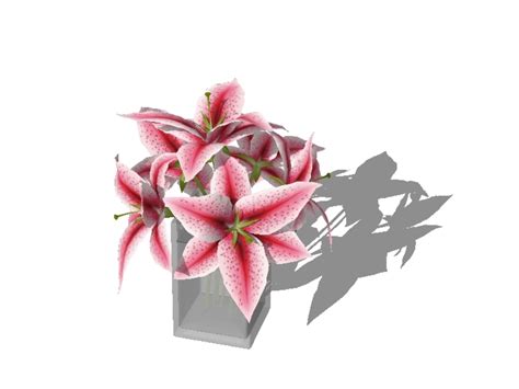 Plantas De Interior En Autocad Librería Cad