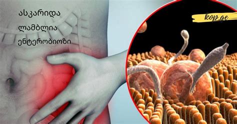 ხალხური სამკურნალო რეცეპტები Home